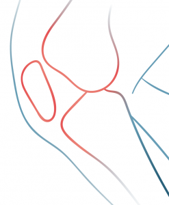 condriplus_rodilla - CONDRIPLUS